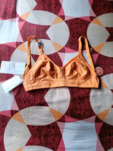 Women > Bra | Zivame Beautiful Basics Double Layered Bra | Freeup