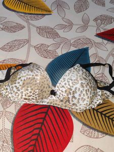 Women > Bra | Paded Bra Tiger Print | Freeup