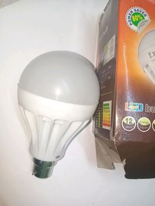 Home & Kitchen > Lamps & Lights | 7 Colour LED BULB PACK Of 1 | Freeup