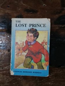 Books > Fiction | The Lost Prince Book | Freeup