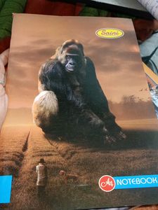 Gadgets > Office Supplies & Stationery | A4 Size Register | Freeup