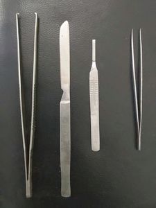 | Dissection Instruments For Anatomy | Freeup