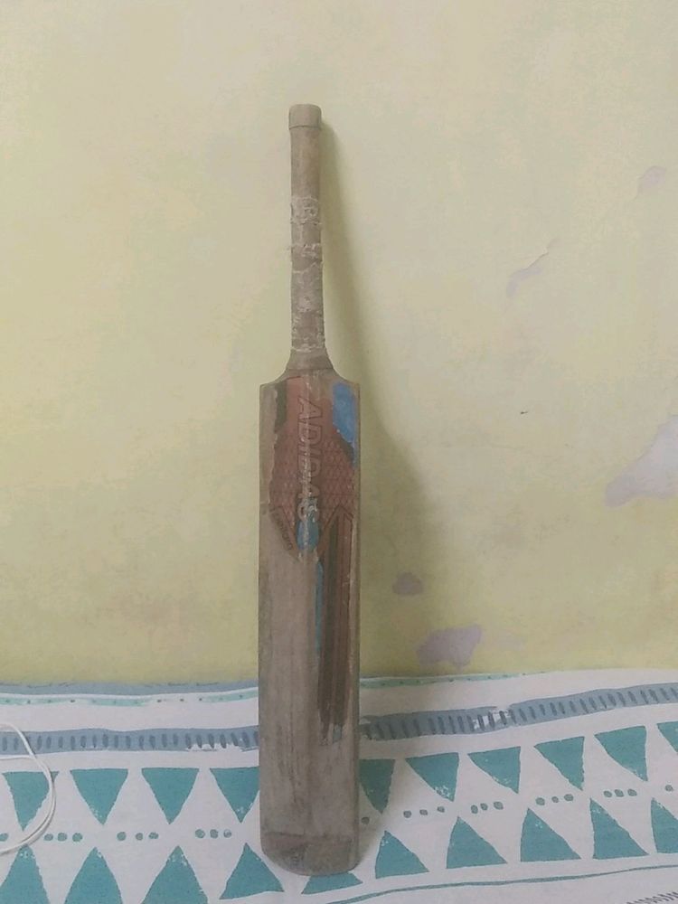 Cricket | Cricket Bat | Freeup