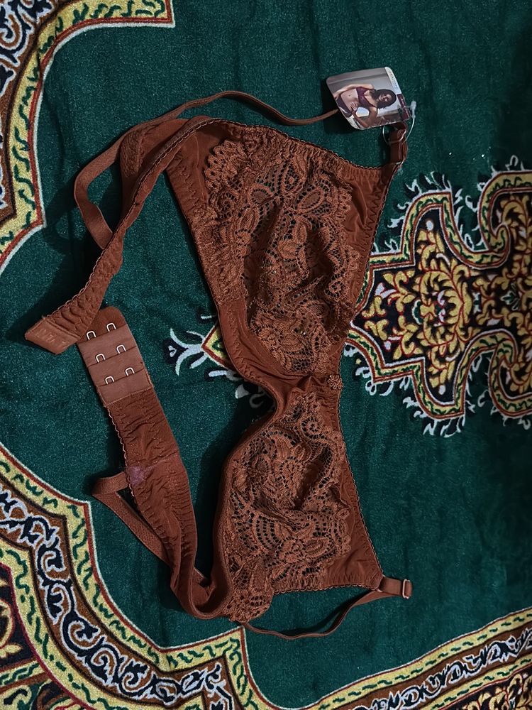 Women > Bra | New Rust Colour Bra | Freeup