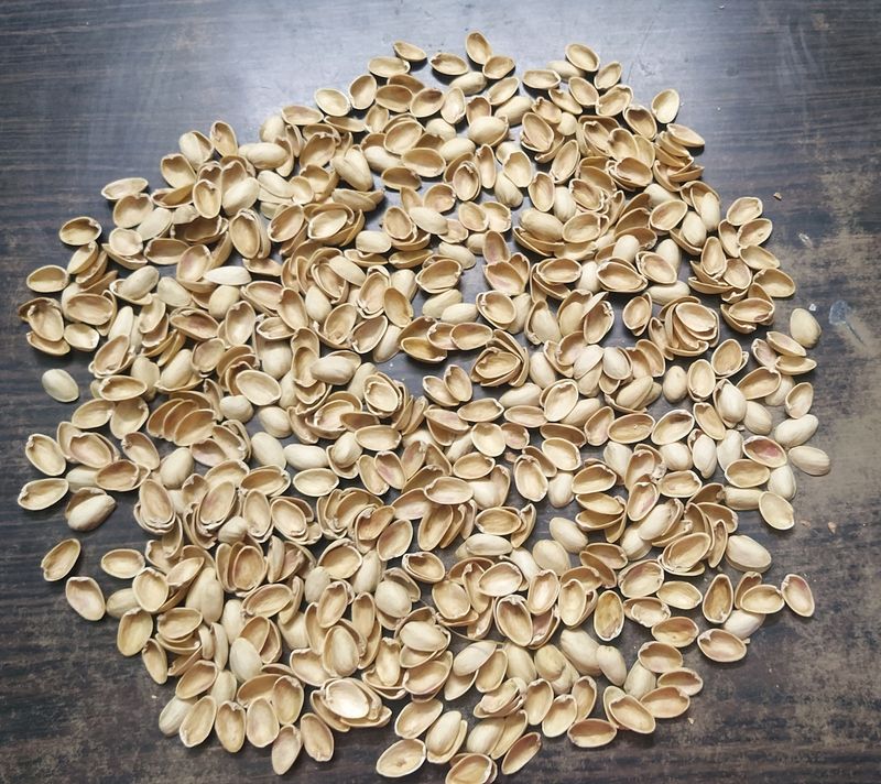 Home & Kitchen > Artwork | Pistachio Shells | Freeup