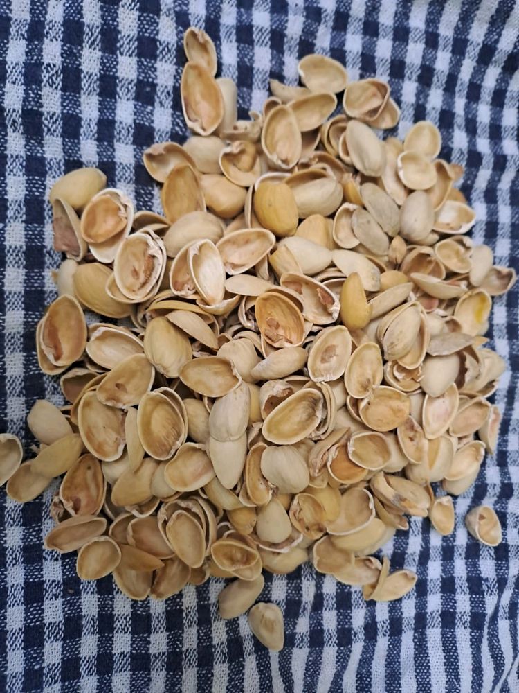 | Pista Shells For Crafting | Freeup