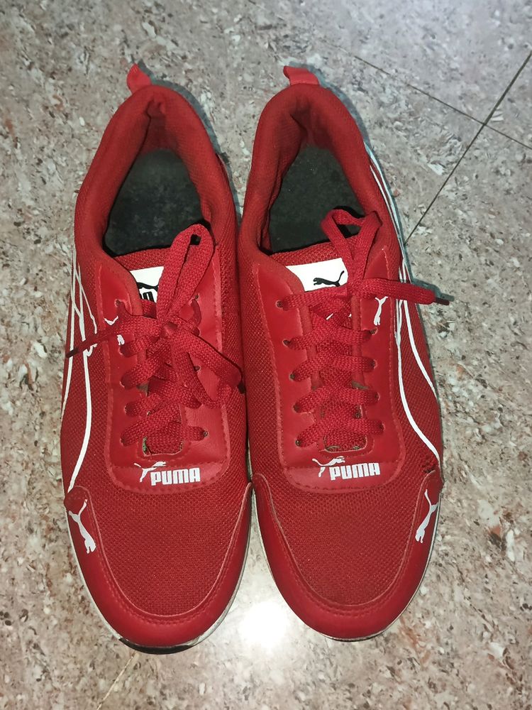 | Puma Man Shoe | Freeup