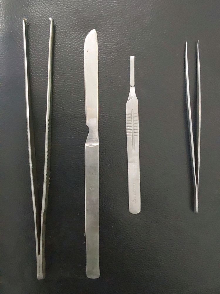 | Dissection Instruments For Anatomy | Freeup